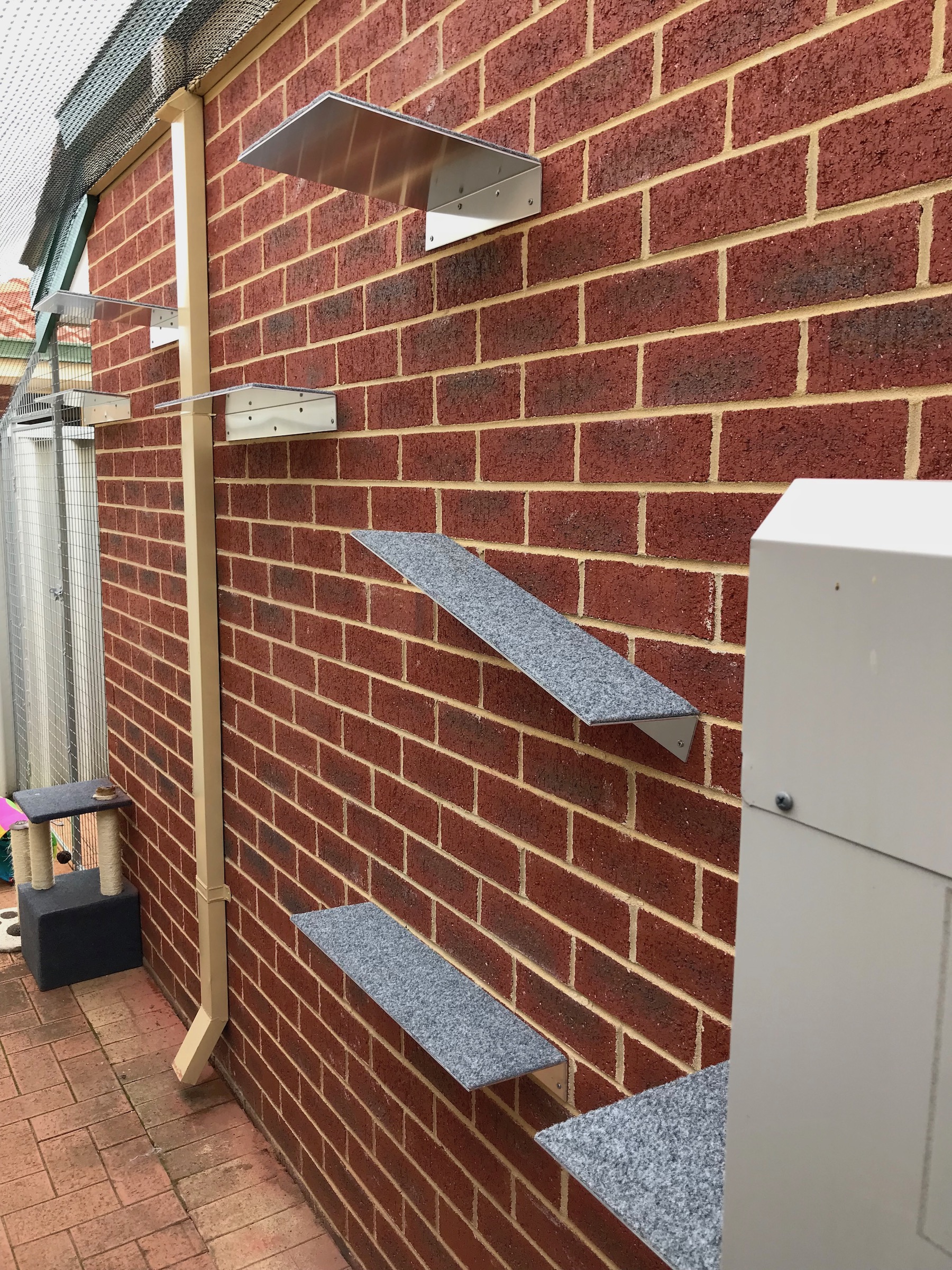 Ramp – Cat Runs WA