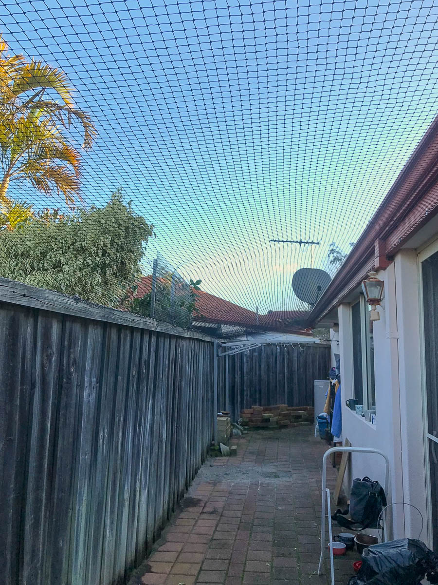 DIY Netted Roof Kits – Cat Runs WA