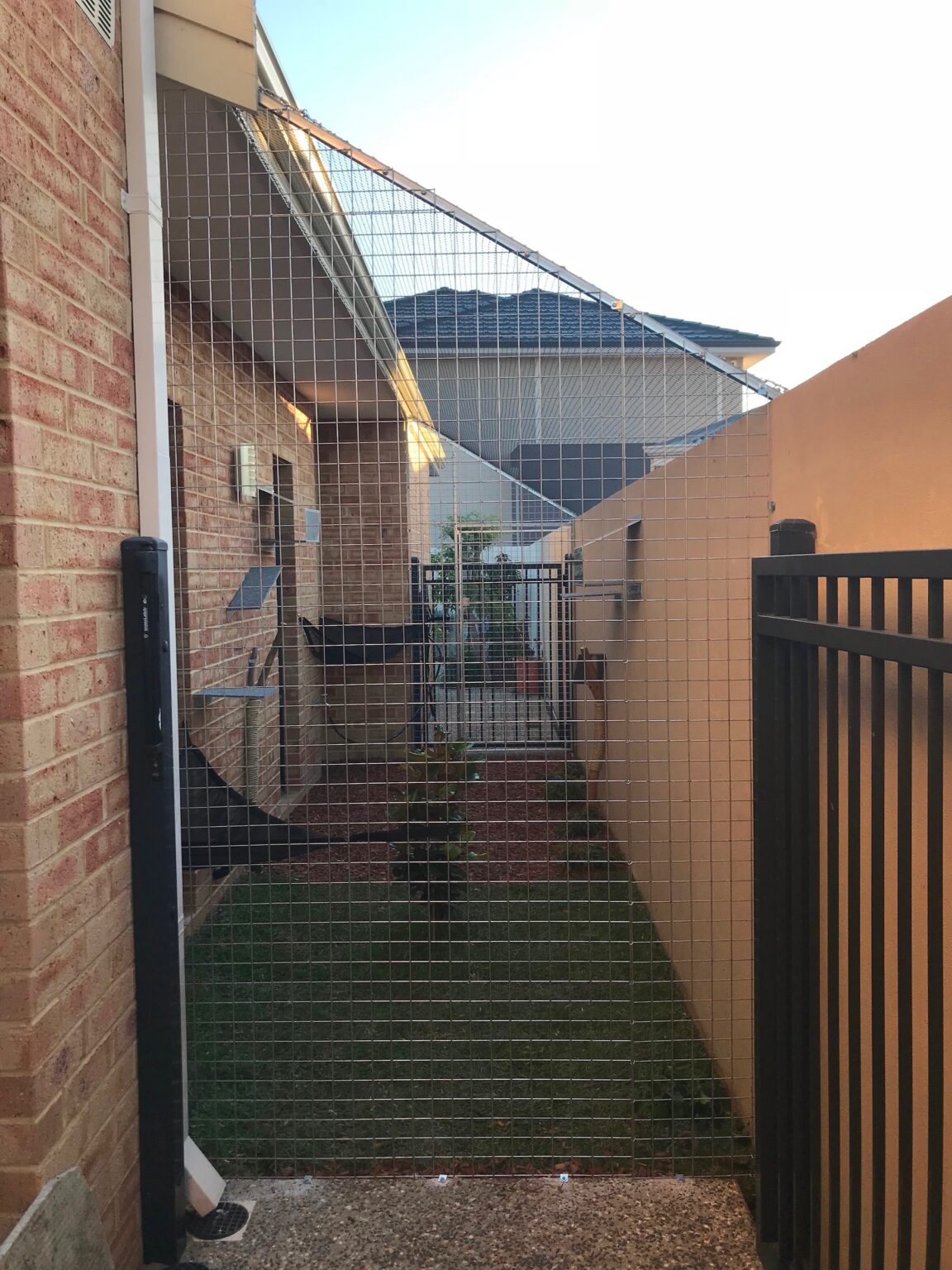 Mesh Panels and Gate – Cat Runs WA